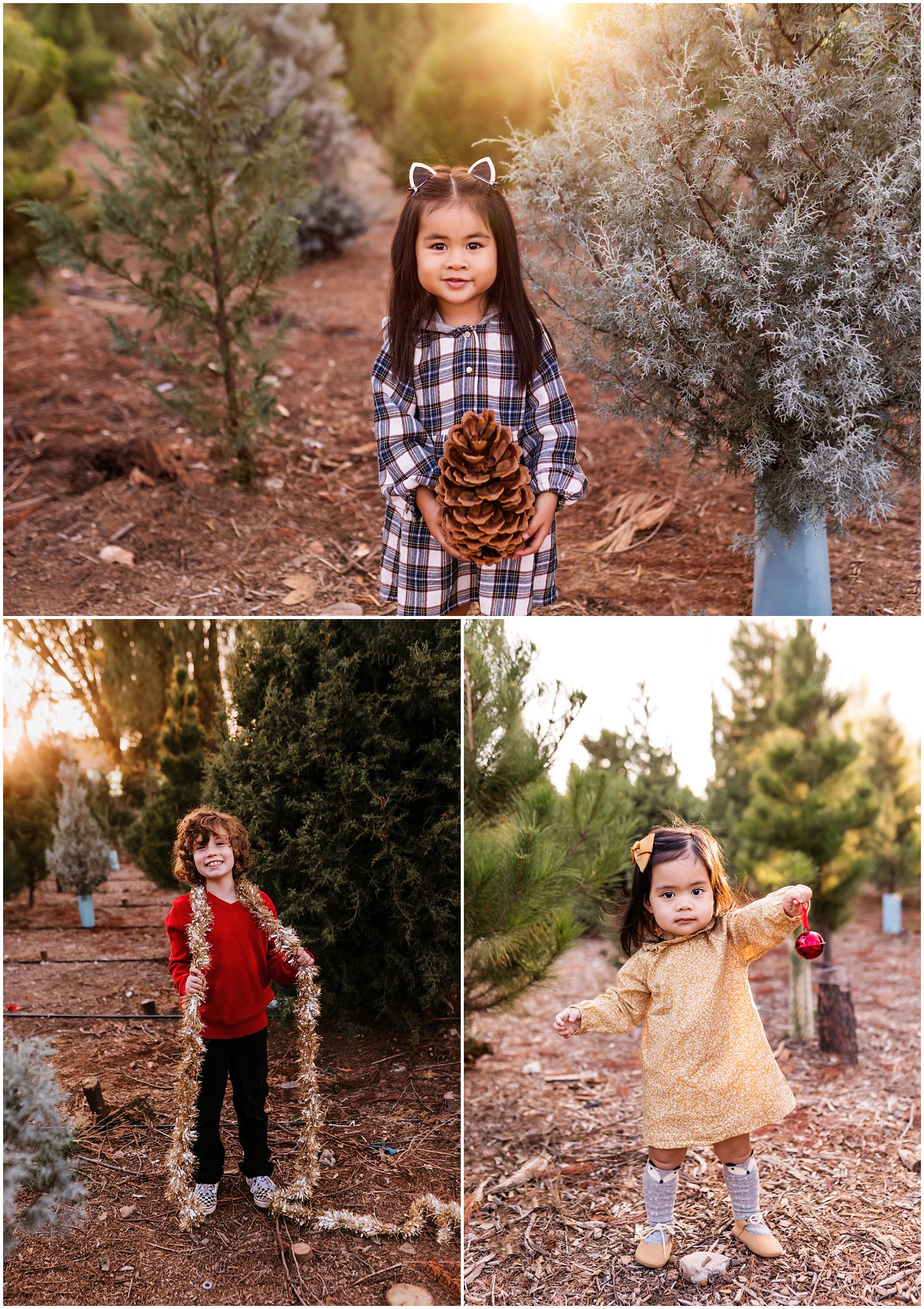 Thousand Oaks Christmas Tree Mini Sessions - A Pocket of Time Photography