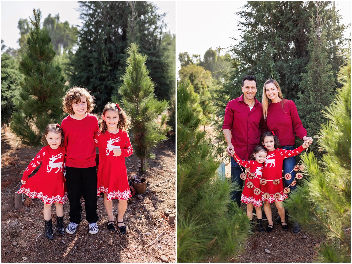 Thousand Oaks Christmas Tree Mini Sessions - A Pocket of Time Photography