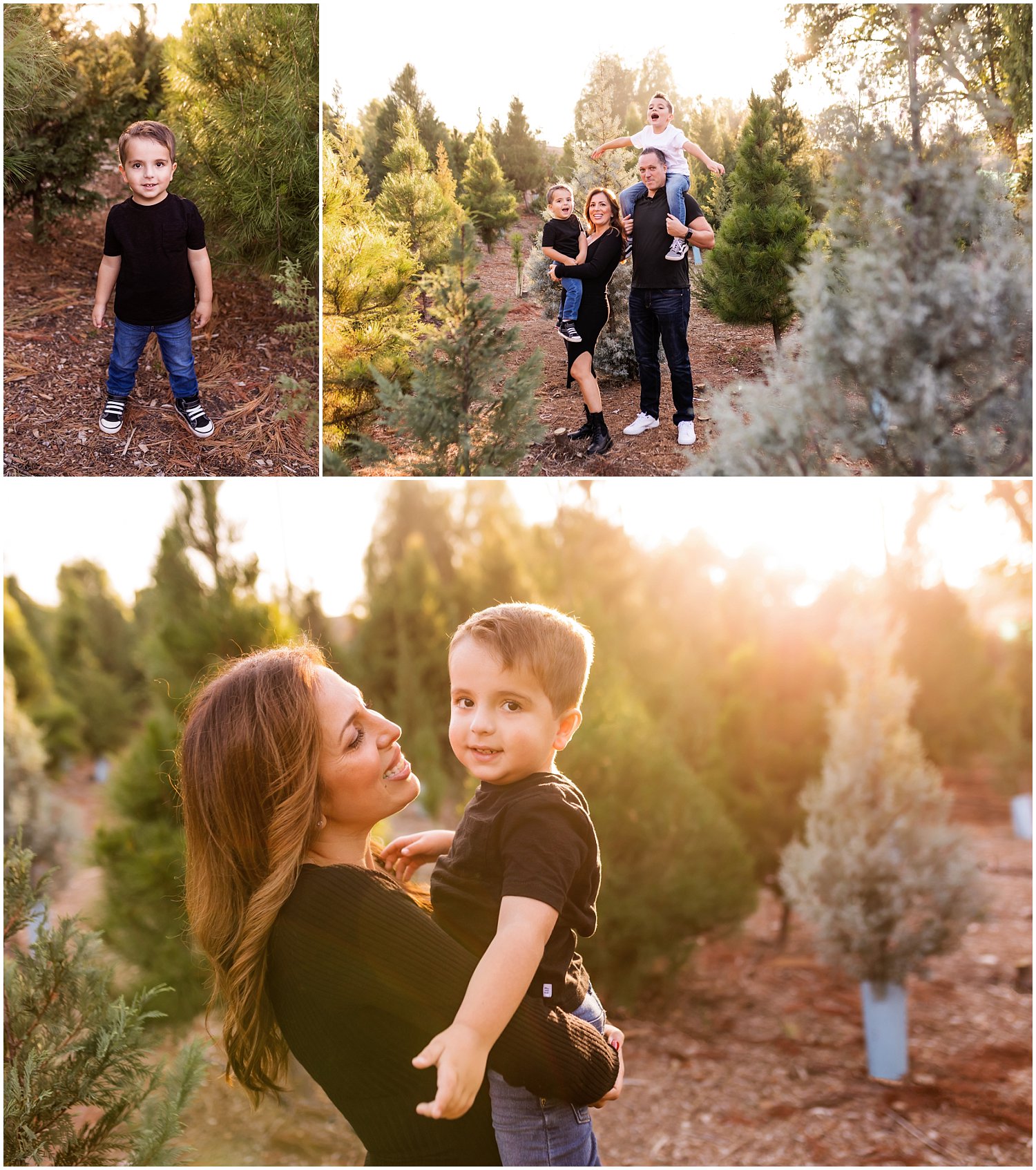 Thousand Oaks Christmas Tree Mini Sessions - A Pocket of Time Photography