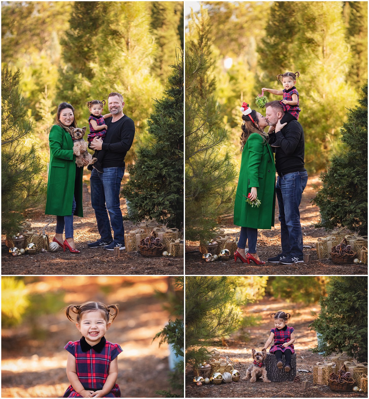 Thousand Oaks Christmas Tree Mini Sessions - A Pocket of Time Photography
