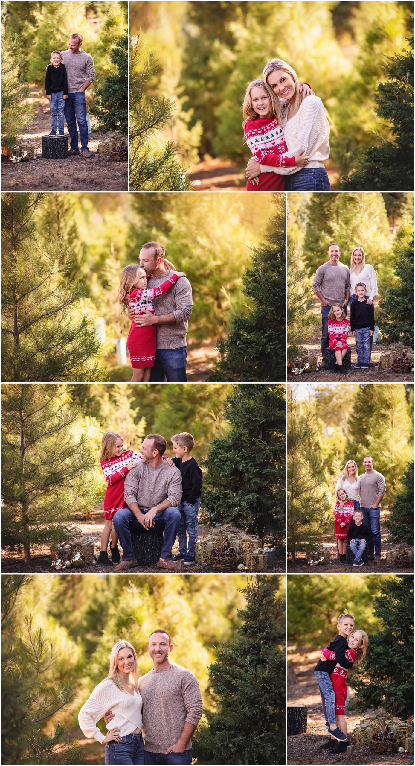 Thousand Oaks Christmas Tree Mini Sessions - A Pocket of Time Photography