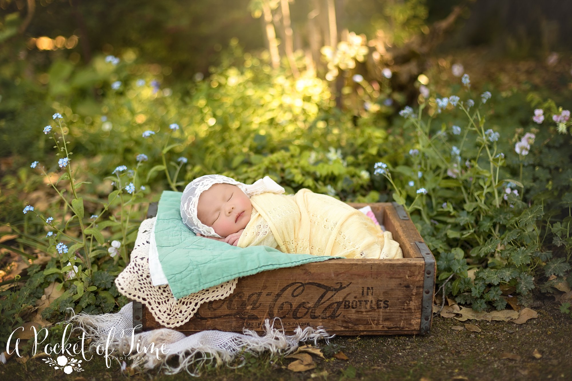 Palo Alto Outdoor Newborn Session - A Pocket of Time Photography