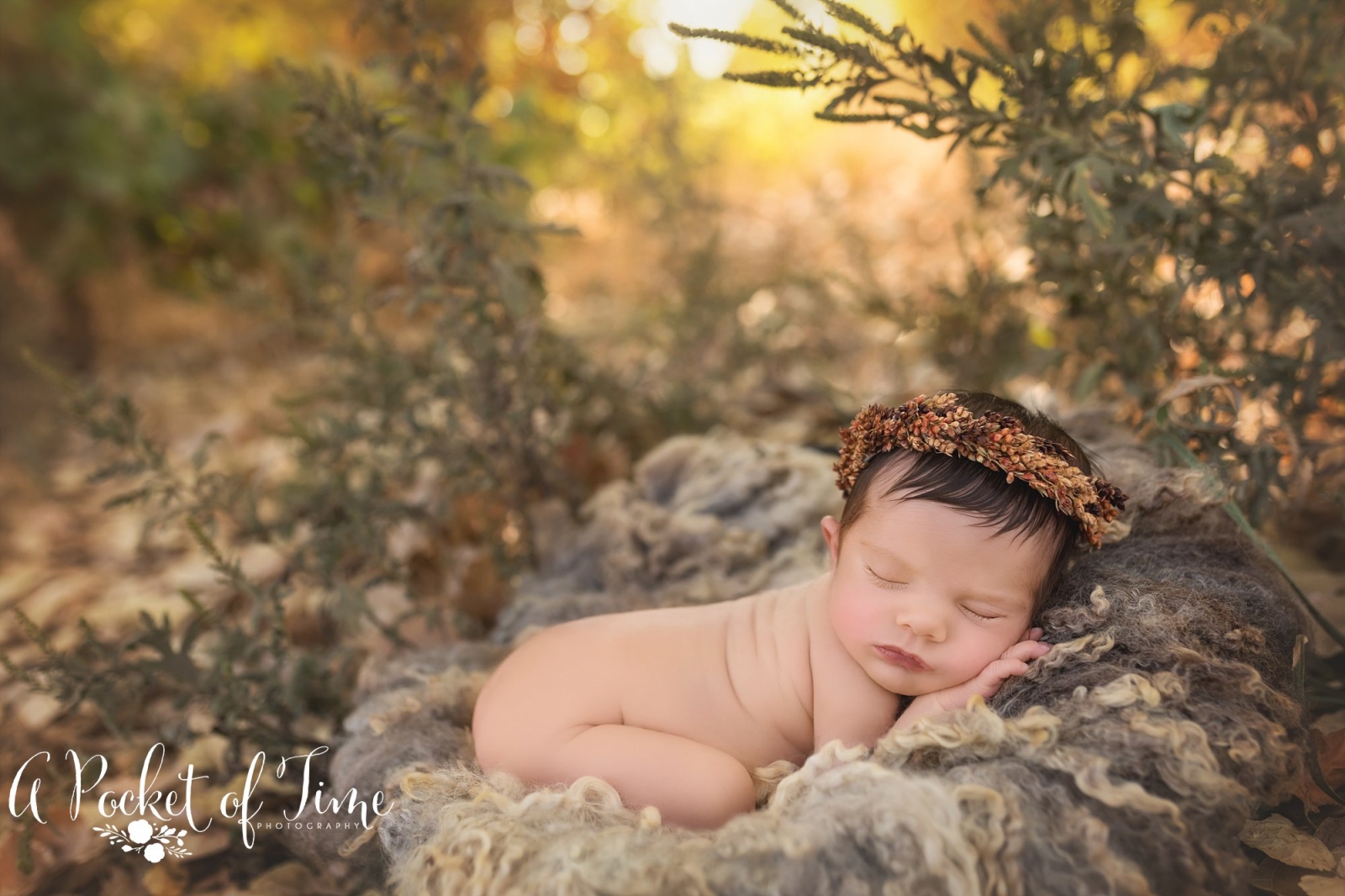 San Fernando Valley Outdoor Newborn Photographer - Baby L - A Pocket of ...