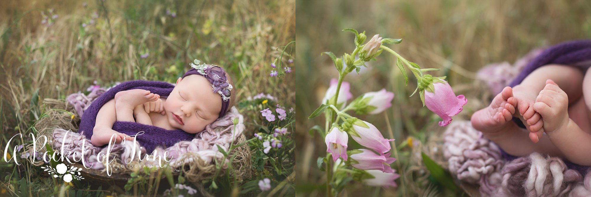 Vibrant Colored Newborn Photography - A Pocket of Time Photography
