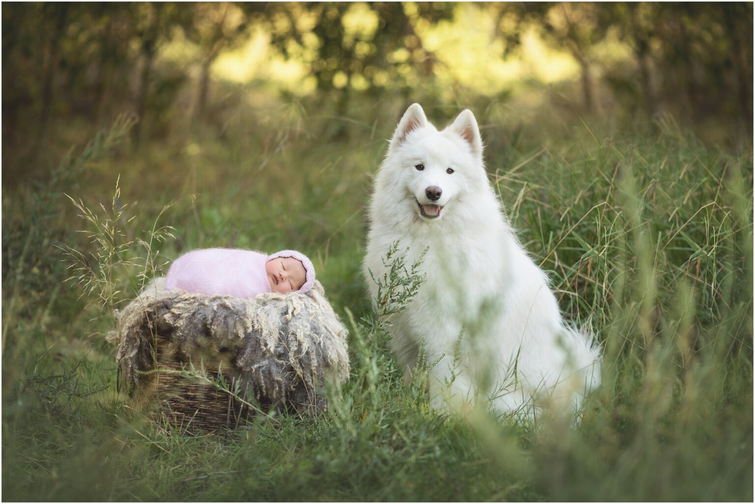 Los Angeles Newborn Photographer - Baby with Fluffy White Dog - A ...